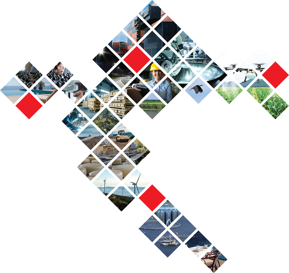 OBILJEŽAVANJE 30 GODINA RADA HBOR-A / HBOR'S 30 ANNIVERSARY | HBOR